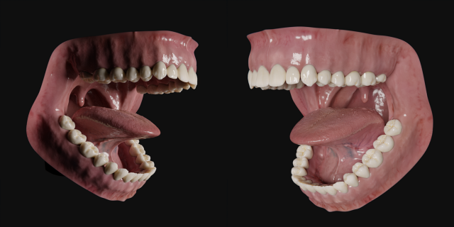 Photorealistic human mouth 3d model | Best Of 3d Models
